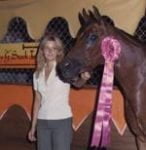 Equine Art By Sculptor Debbi LerMond