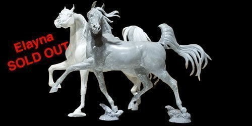 Elayna Is Shipping! - Equine Art By Debbi LerMond