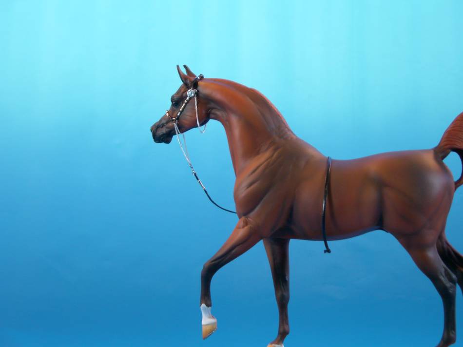 Gallery - HorseModels.com