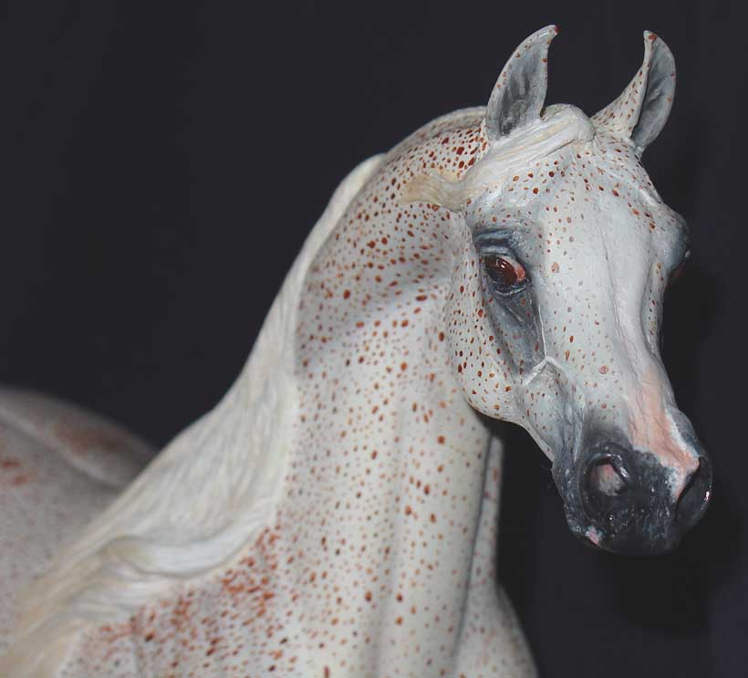 Gallery - HorseModels.com